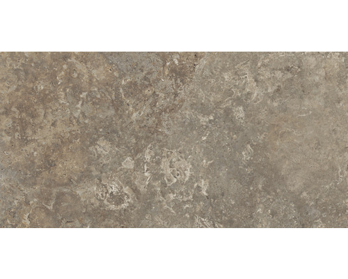 Wand- und Bodenfliese Cafe Travertino, 120x60x0,7cm, matt bei BODENHAUS ...